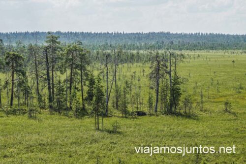 Rutas de senderismo cerca de Rovaniemi: guía completa del Arctic Circle ...
